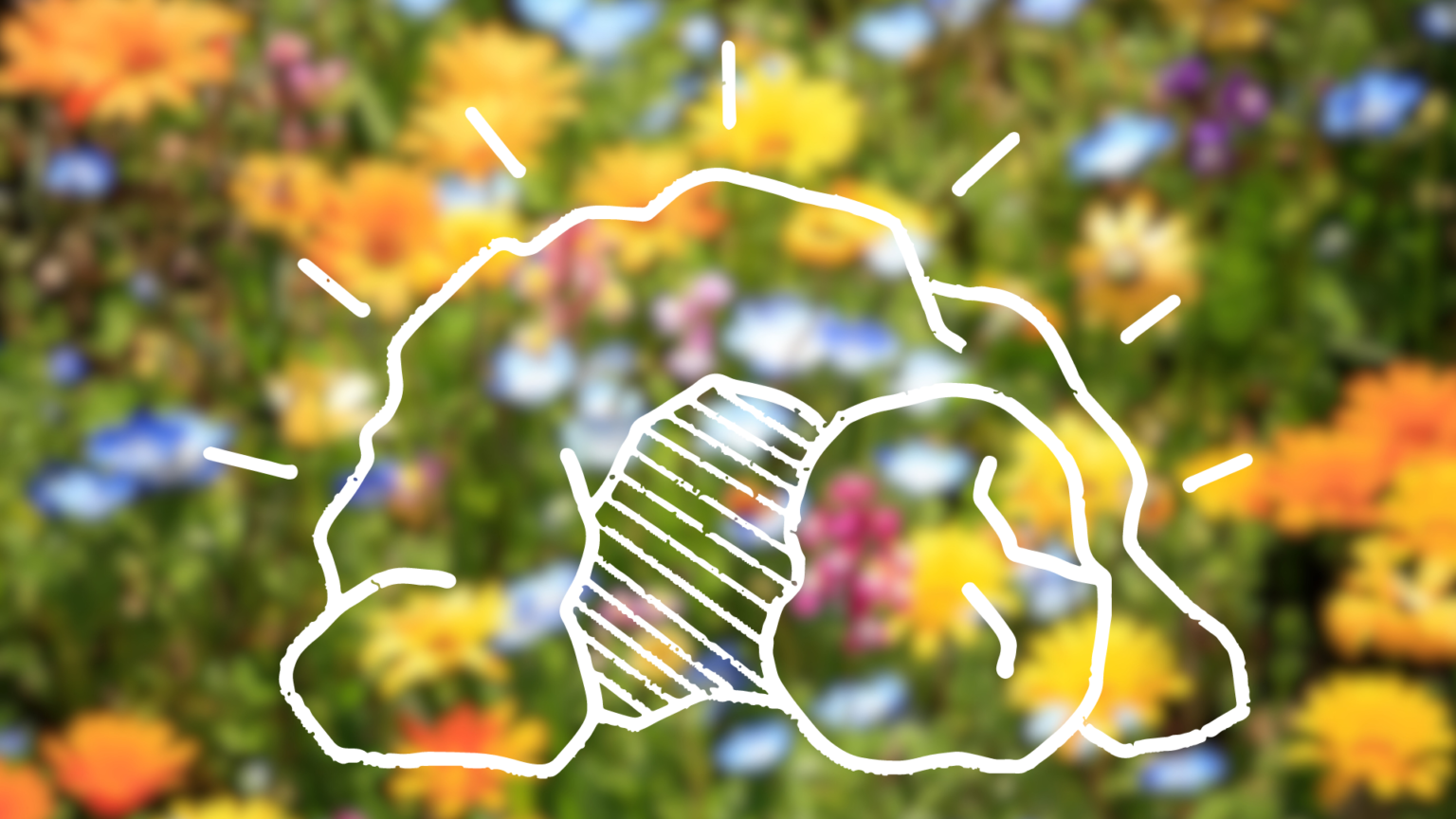 Kairos Life – Kairos Network Church